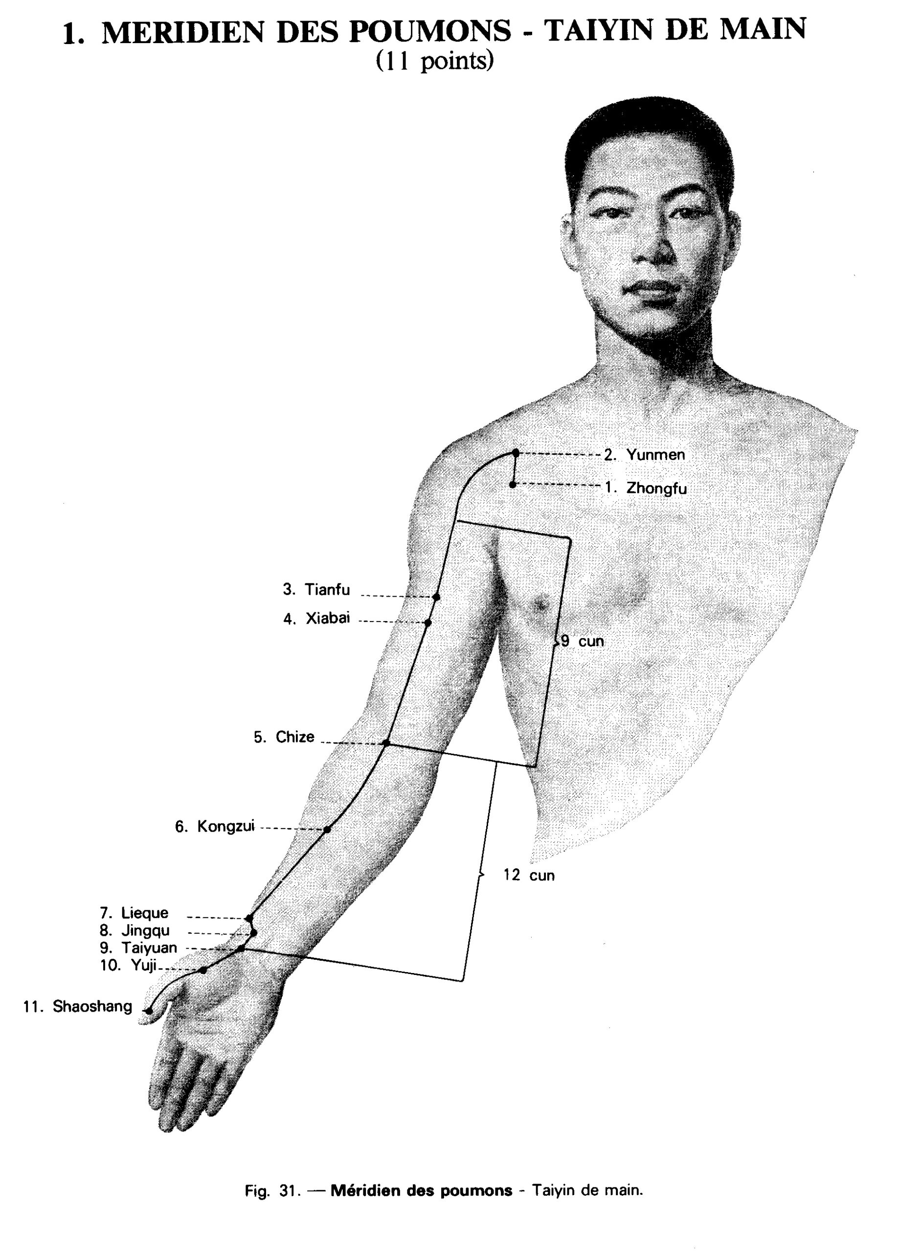 Le méridien du poumon - Zen Shiatsu Evian
