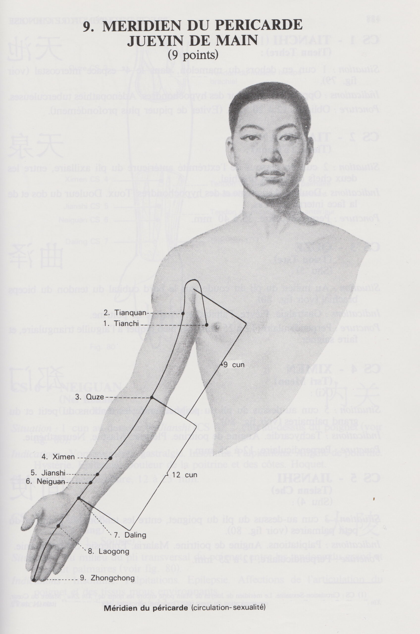 Le méridien Maître-Cœur (ou du Péricarde) - Zen Shiatsu Evian